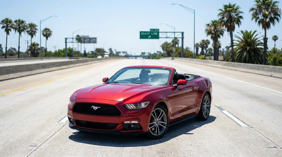 Driving a Florida hire car across state lines: rules – Hola Car Rentals