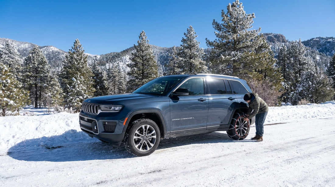 Las Vegas car hire to Mount Charleston in winter – Hola Car Rentals