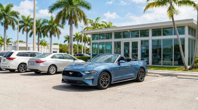 TP vs LDW on Miami car hire insurance explained – Hola Car Rentals